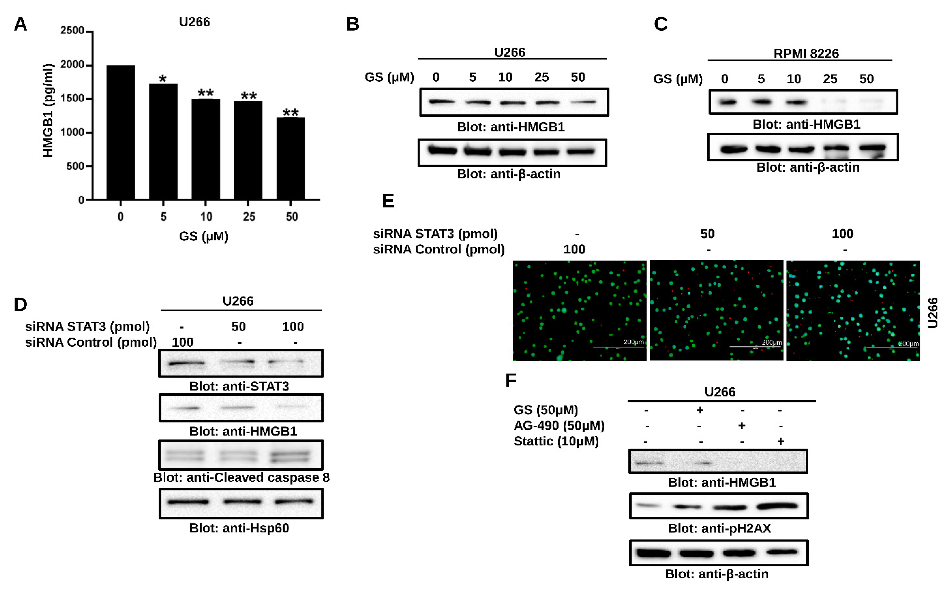 Guggulsterone Induces Apoptosis in Multiple Myeloma Cells by Targeting ...