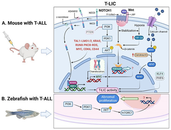 Cancers | Free Full-Text | Targeting Leukemia-Initiating Cells and ...