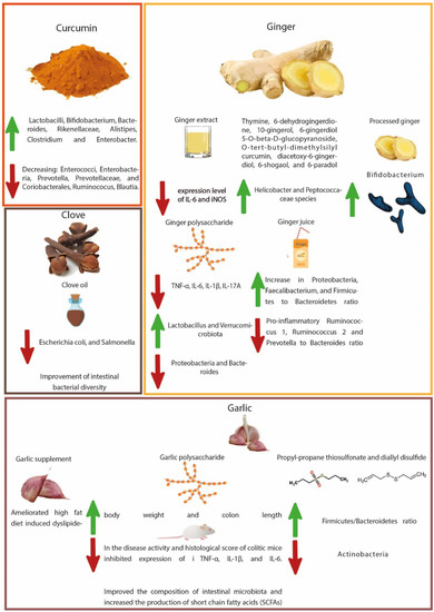 Spice-Derived Bioactive Compounds Confer Colorectal Cancer Prevention ...