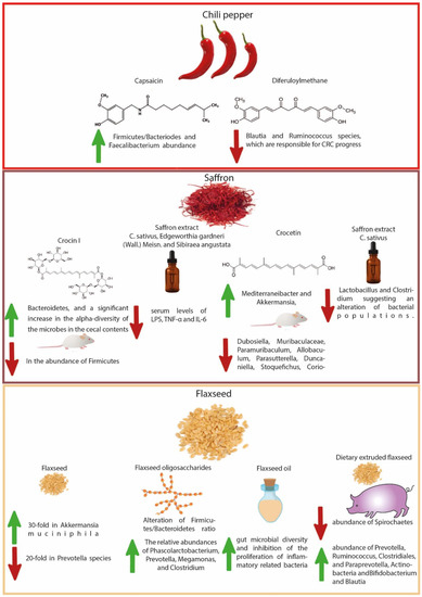Spice-Derived Bioactive Compounds Confer Colorectal Cancer Prevention via Modulation of Gut ...