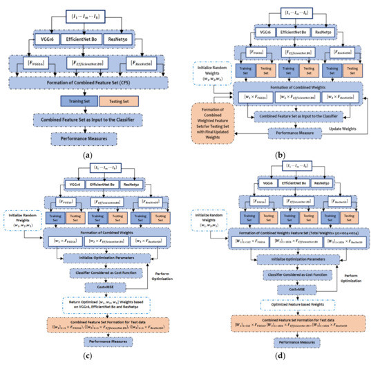 Cancers | Free Full-Text | Integrated Design of Optimized Weighted Deep Feature Fusion ...