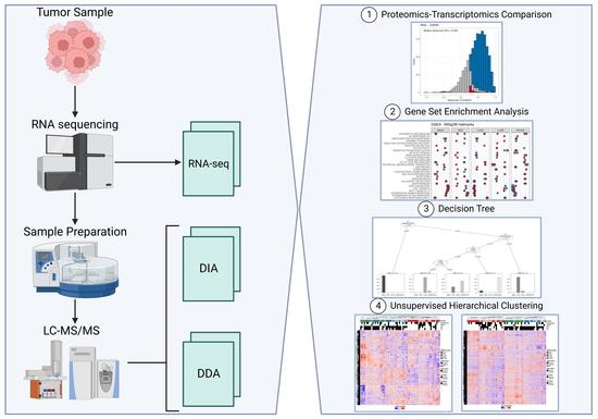 Cancers | Free Full-Text | Choice of High-Throughput Proteomics Method Affects Data Integration ...