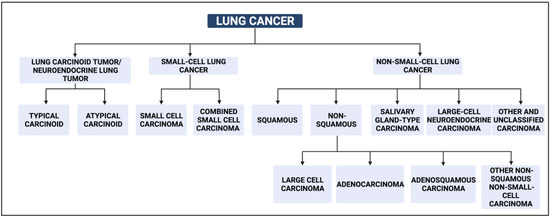 Non-Invasive Biomarkers for Early Lung Cancer Detection