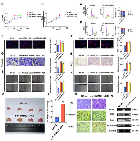 Down-Regulation of lncRNA MBNL1-AS1 Promotes Tumor Stem Cell-like ...