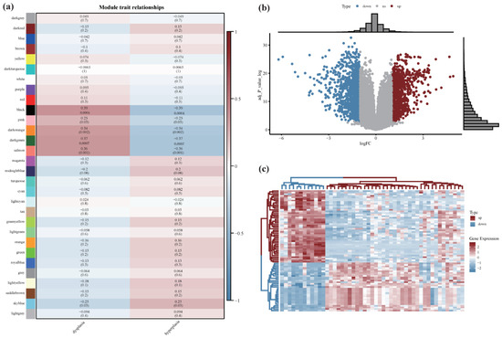 Screening for Biomarkers for Progression from Oral Leukoplakia to Oral ...