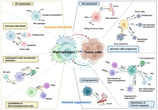 Immune Checkpoint and Other Receptor-Ligand Pairs Modulating ...