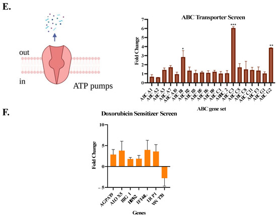 Dual LSD1 and HDAC6 Inhibition Induces Doxorubicin Sensitivity in Acute ...