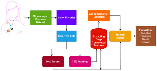 Breast Cancer Detection Using Convoluted Features And Ensemble Machine Learning Algorithm