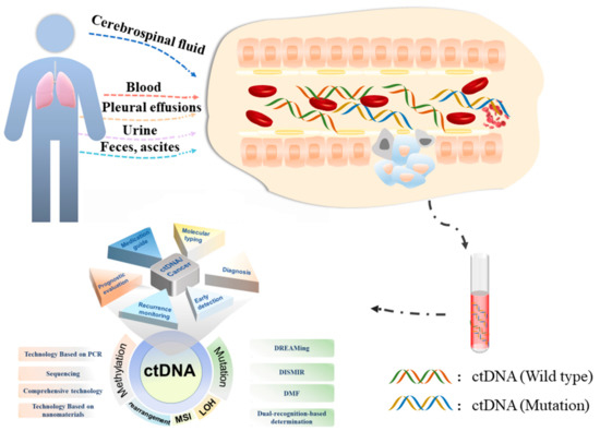 Cancers | Free Full-Text | Circulating Tumor DNA—A Novel Biomarker of Tumor Progression and Its ...