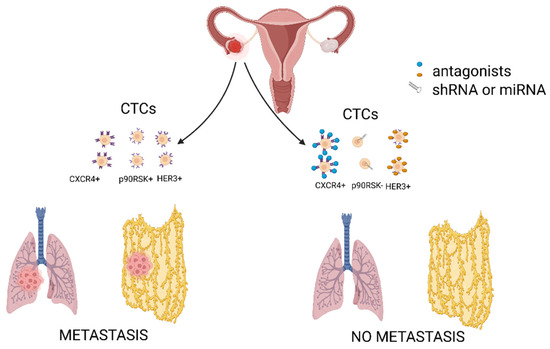 The Role of Circulating Tumor Cells in Ovarian Cancer Dissemination