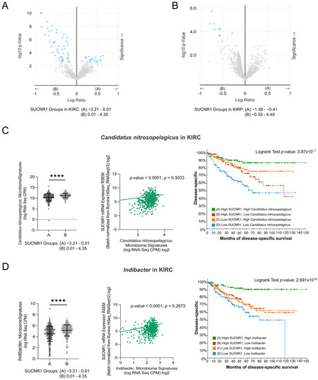 Divulging a Pleiotropic Role of Succinate Receptor SUCNR1 in Renal Cell ...