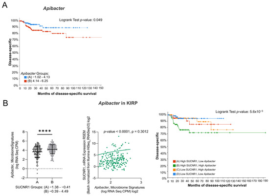 Divulging a Pleiotropic Role of Succinate Receptor SUCNR1 in Renal Cell ...
