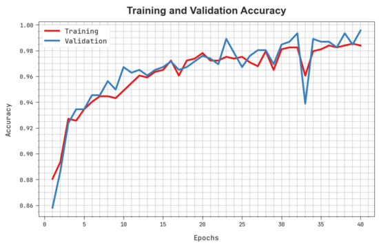 Design of a Honey Badger Optimization Algorithm with a Deep Transfer Learning-Based Osteosarcoma ...