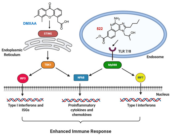 Combination of STING and TLR 7/8 Agonists as Vaccine Adjuvants for ...