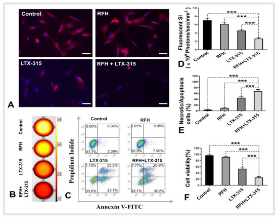 Interventional Oncolytic Immunotherapy with LTX-315 for Residual Tumor ...