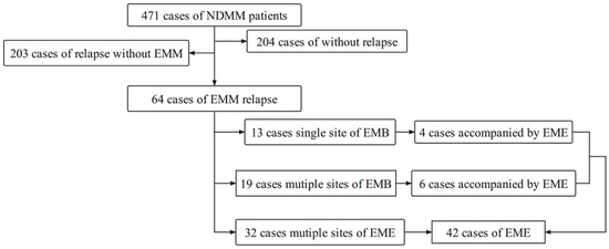 Analysis of High-Risk Extramedullary Relapse Factors in Newly Diagnosed ...