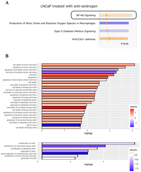 Cancers | Free Full-Text | Antagonistic Functions of Androgen Receptor ...