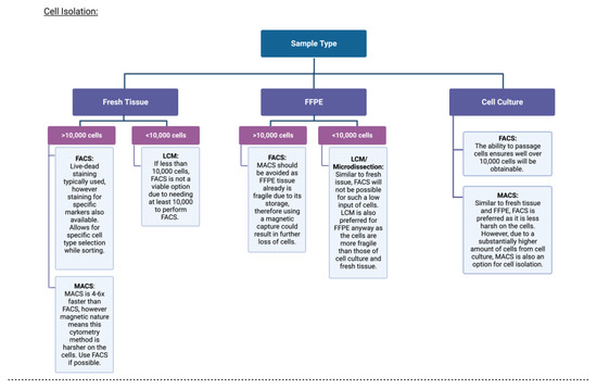 Single-Cell DNA Methylation Analysis in Cancer