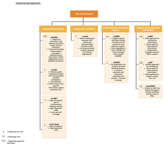 Single-Cell DNA Methylation Analysis in Cancer