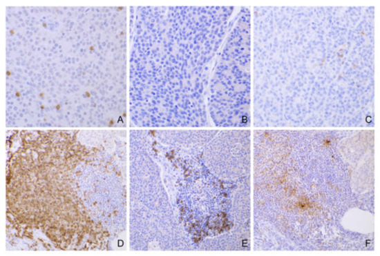 Development of Monoclonal Antibodies Targeting Canine PD-L1 and PD-1 ...