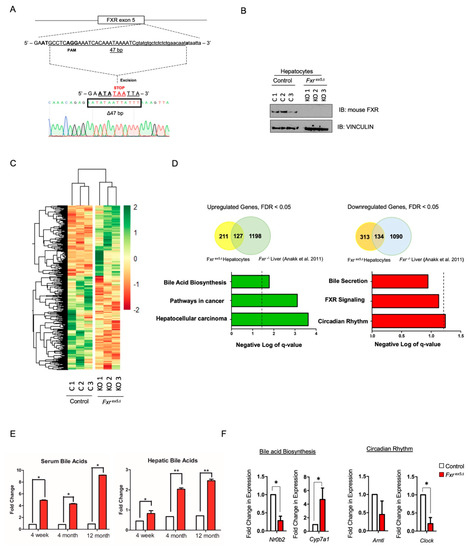 Regulation of Chromatin Accessibility by the Farnesoid X Receptor Is ...