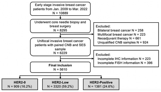 HER2-Low Status Is Not Accurate in Breast Cancer Core Needle Biopsy ...