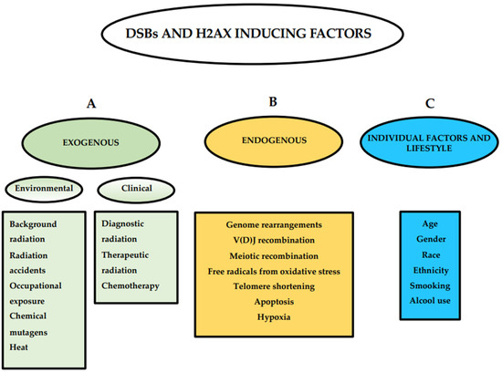 Factors to Consider for the Correct Use of γH2AX in the Evaluation of ...