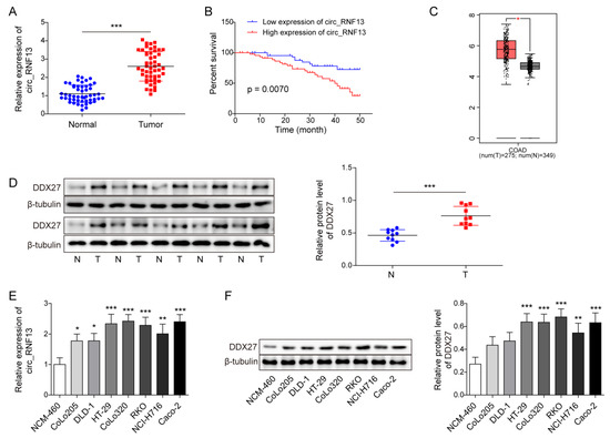 Circ_RNF13 Regulates the Stemness and Chemosensitivity of Colorectal ...