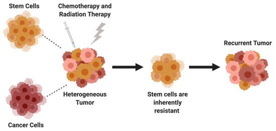 Mechanisms of Drug Resistance in Ovarian Cancer and Associated Gene Targets