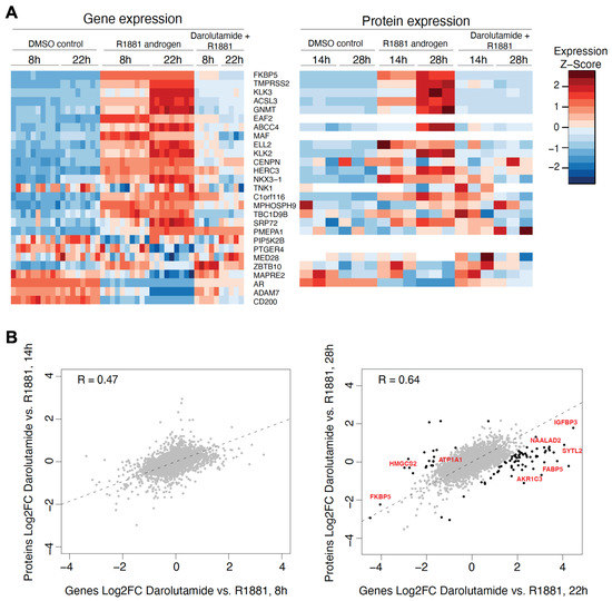 Comparative Proteomic and Transcriptomic Analysis of the Impact of Androgen Stimulation and ...