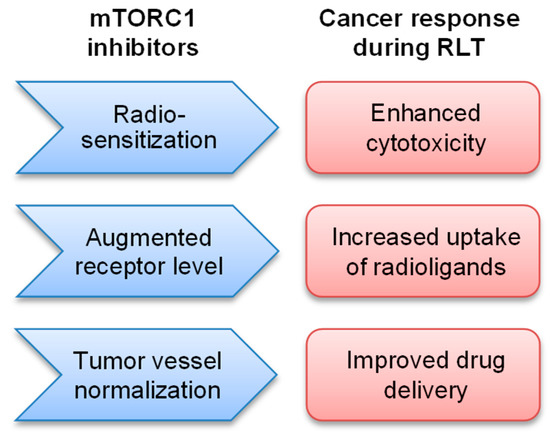 Targeting mTORC1 Activity to Improve Efficacy of Radioligand Therapy in ...