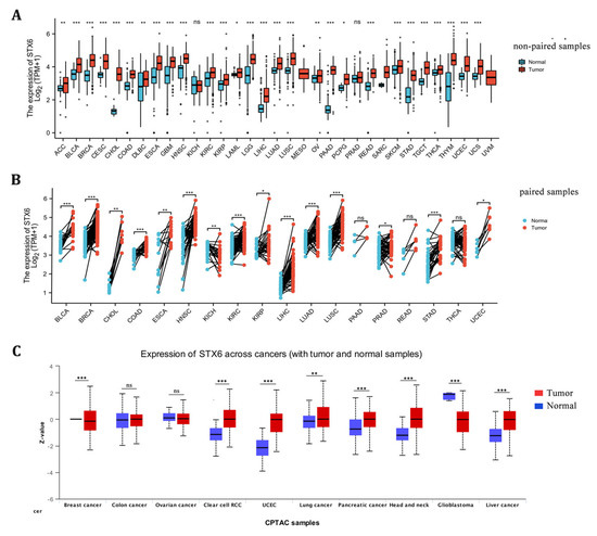 Syntaxin-6, a Reliable Biomarker for Predicting the Prognosis of ...