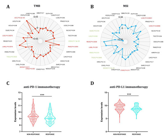 Syntaxin-6, a Reliable Biomarker for Predicting the Prognosis of ...
