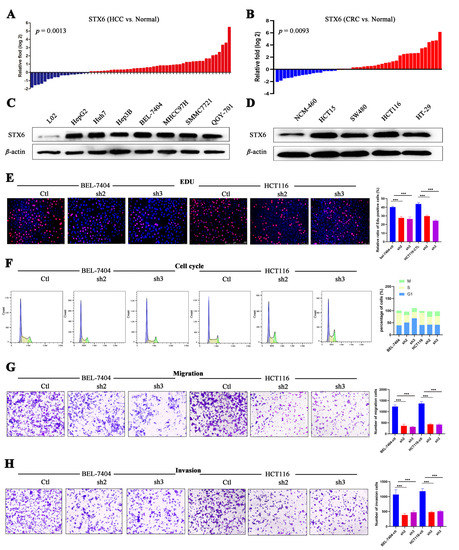 Syntaxin-6, a Reliable Biomarker for Predicting the Prognosis of ...