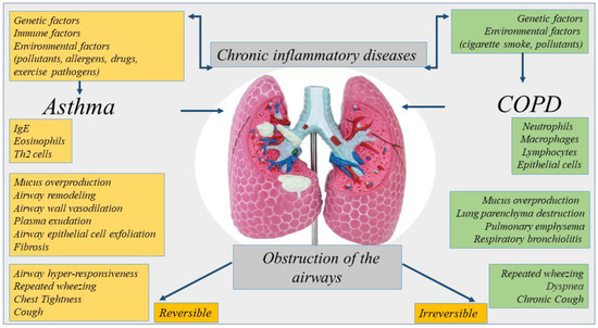 Non-Coding RNAs in Airway Diseases: A Brief Overview of Recent Data