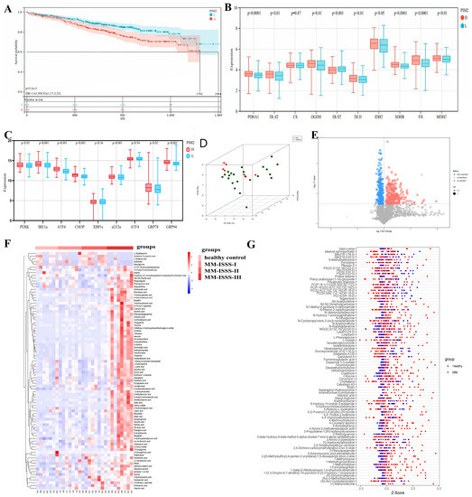 Cancers | Free Full-Text | Pim-2 Kinase Regulates Energy Metabolism in ...