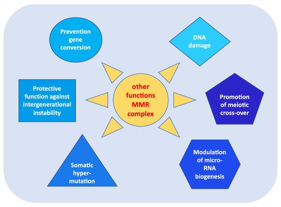 Hereditary Colorectal Cancer: State of the Art in Lynch Syndrome