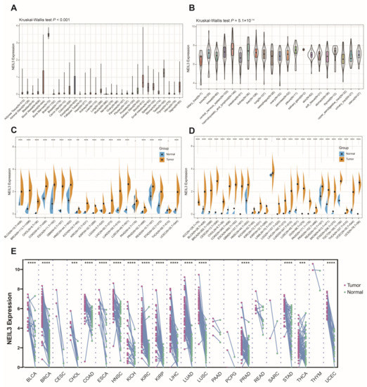 Pan-Cancer Landscape of NEIL3 in Tumor Microenvironment: A Promising ...