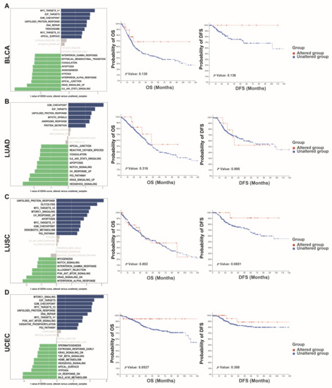 Pan-Cancer Landscape of NEIL3 in Tumor Microenvironment: A Promising ...