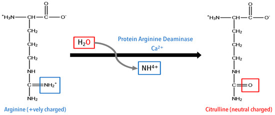 Cancers | Free Full-Text | Post-Translational Modifications in Tumor ...