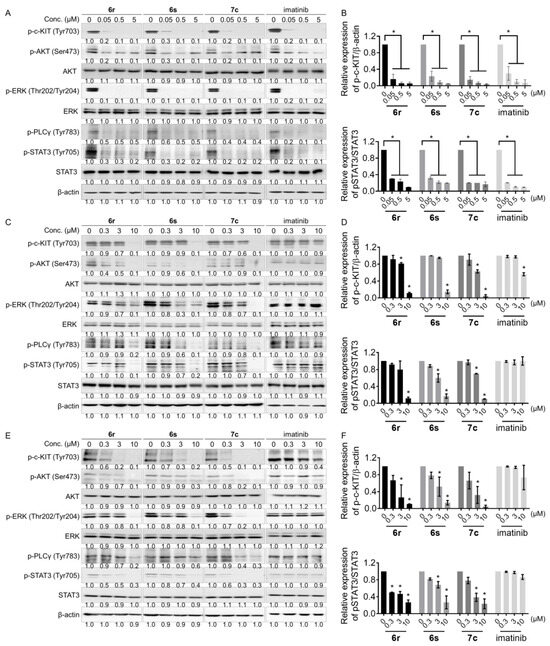 Identification of Thiazolo[5,4-b]pyridine Derivatives as c-KIT ...
