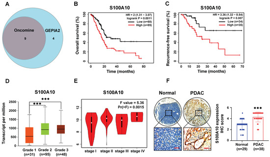 S100A10 Promotes Pancreatic Ductal Adenocarcinoma Cells Proliferation ...