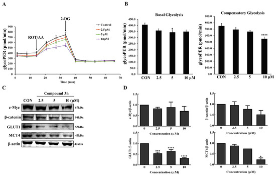 Novel Specific Pyruvate Kinase M2 Inhibitor, Compound 3h, Induces ...