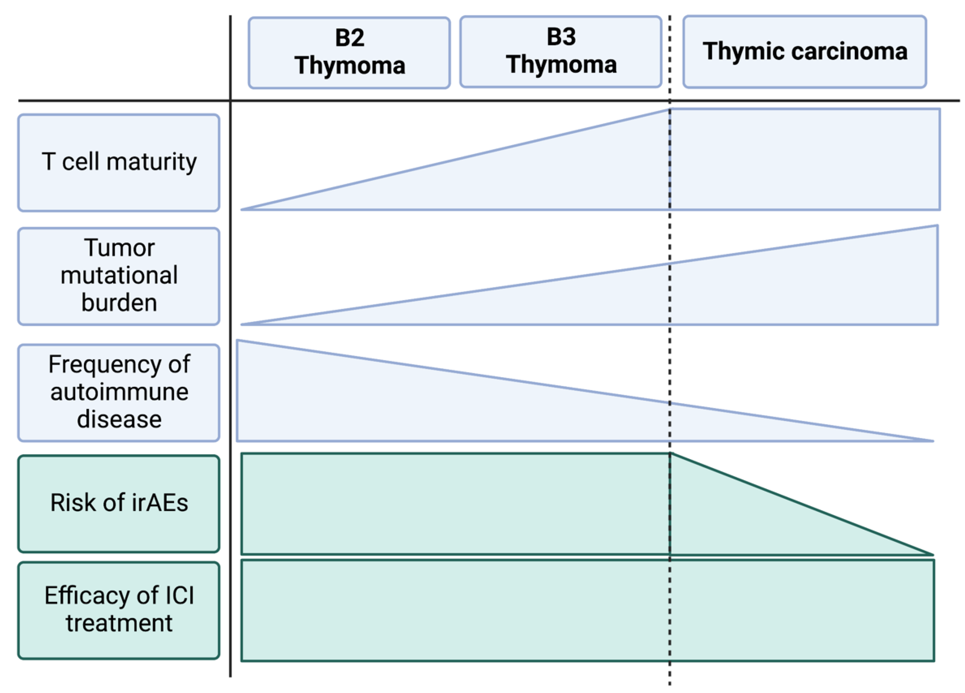 Thymic Tumors Classification at Charles Wagar blog