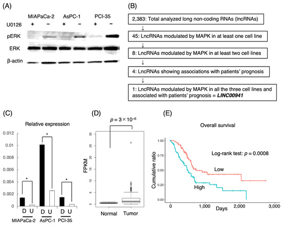 Long Non-Coding RNAs Associated with Mitogen-Activated Protein Kinase ...