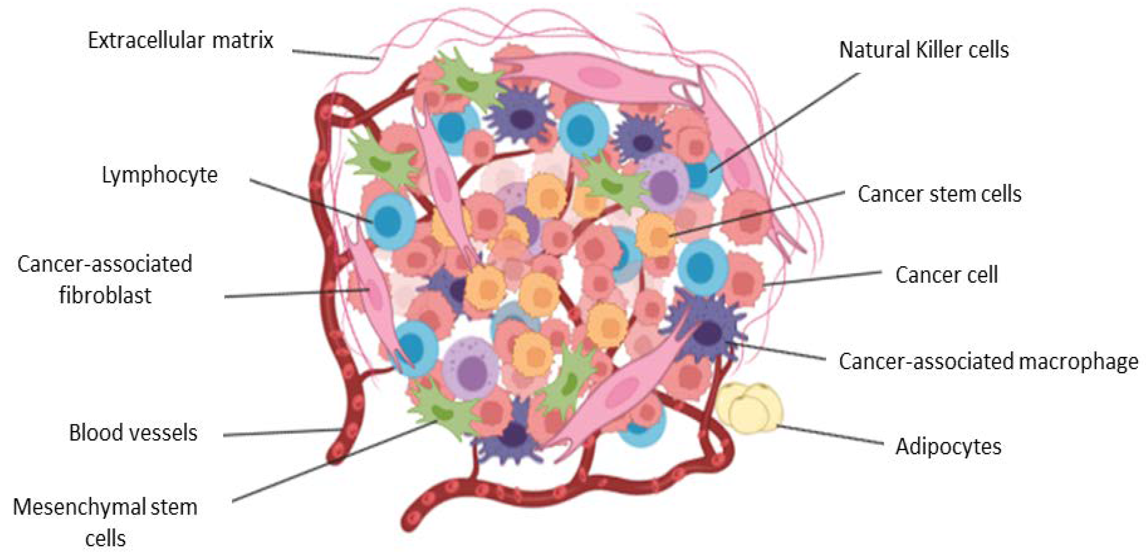 The Tumor Microenvironment in Tumorigenesis and Therapy Resistance Revisited