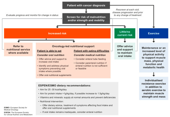 Oncology-Led Early Identification of Nutritional Risk: A Pragmatic ...