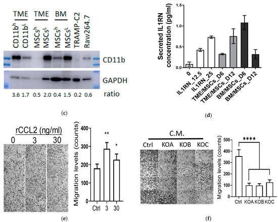 Disruption of CCL2 in Mesenchymal Stem Cells as an Anti-Tumor Approach ...