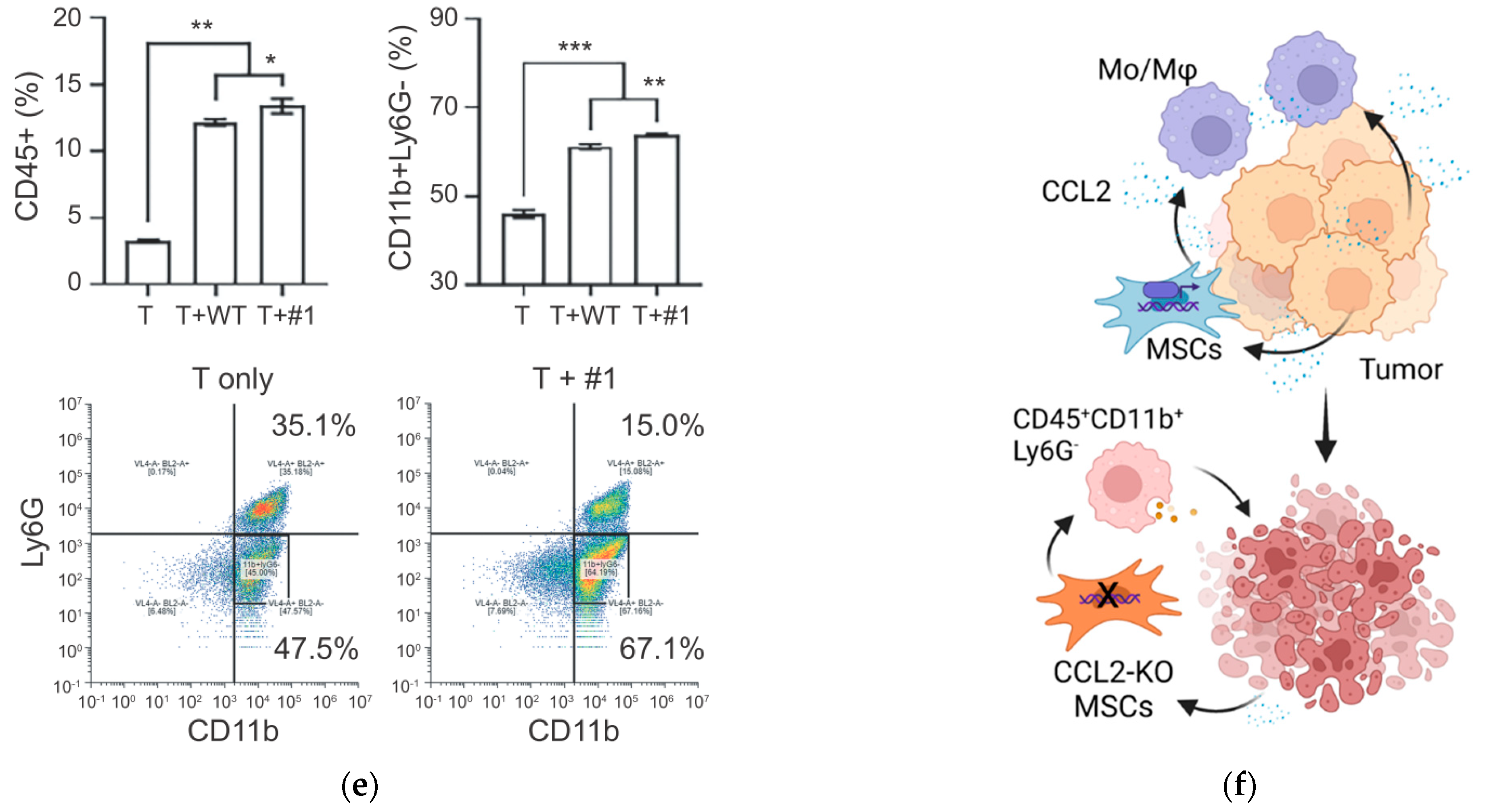Cancers | Free Full-Text | Disruption of CCL2 in Mesenchymal Stem Cells ...