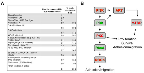Inhibition of PI3K Class IA Kinases Using GDC-0941 Overcomes ...